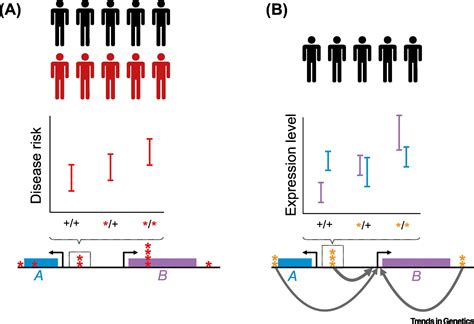 Where Are The Disease Associated Eqtls Trends In Genetics