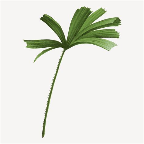 Biodiversity Vector Images Free Photos Png Stickers Wallpapers