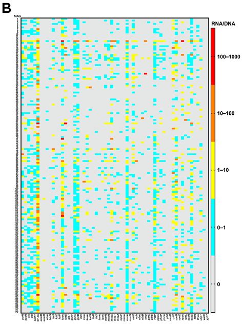 Metatranscriptomic Analysis Reveals Actively Expressed Antimicrobial Resistant Genes And Their