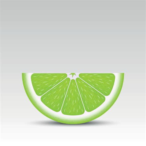 Realistic Lime Slice 6588659 Vector Art At Vecteezy