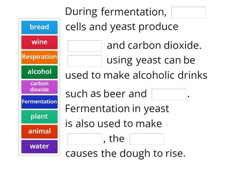 Fermentation In Plant And Yeast Cells Complete The Sentence