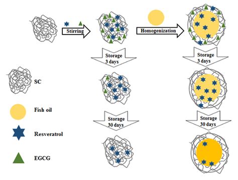 Sodium Caseinate Particles With Co Encapsulated Resveratrol And