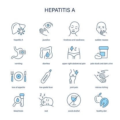 Hepatitis A Symptoms Diagnostic And Treatment Vector Icon Set Stock