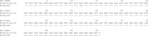 Nucleotide Sequence Alignment Of Exon 2 Of Hla‐b08304 With The