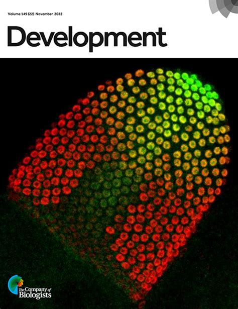 Age Reprogramming Cell Rejuvenation By Partial Reprogramming Development The Company Of