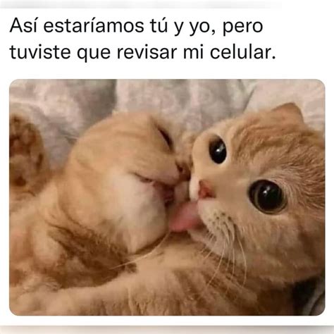 As Estar Amos T Y Yo Pero Tuviste Que Revisar Mi Celular Memes