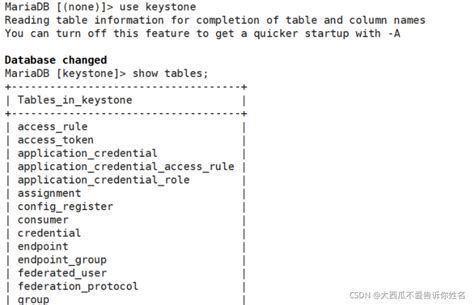 openstack之keystone（身份认证服务） keystone manage 大西瓜不爱告诉你姓名的博客 csdn博客