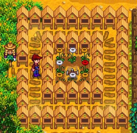 Optimal Bee House Layouts Hypercarry