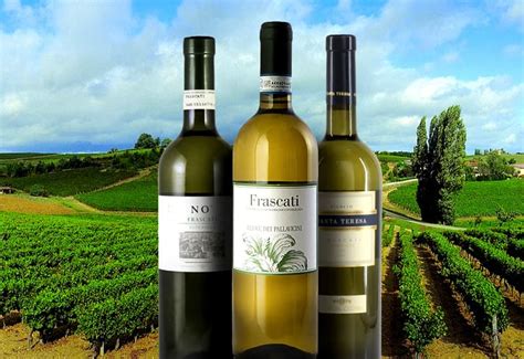 Italian White Wine Tasting Notes Prices Best Wines 2024