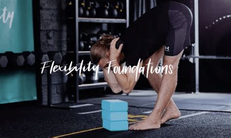 The Complete Flexibility Foundations Bundle Lottolearning