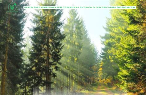 Центральне міжрегіональне управління лісового та мисливського господарства