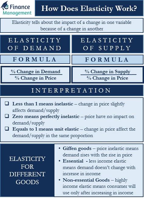 Understanding Elasticity In Economics