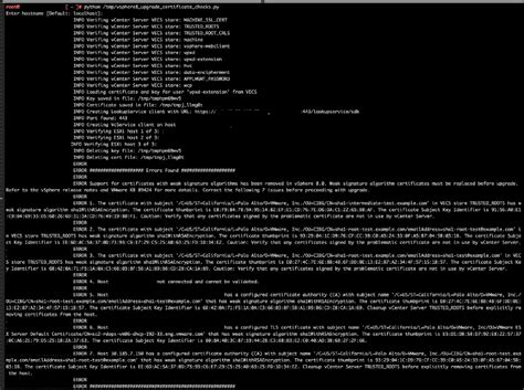 The Console Window These Issues Should Be Resolved Before Proceeding With Upgrade An Example
