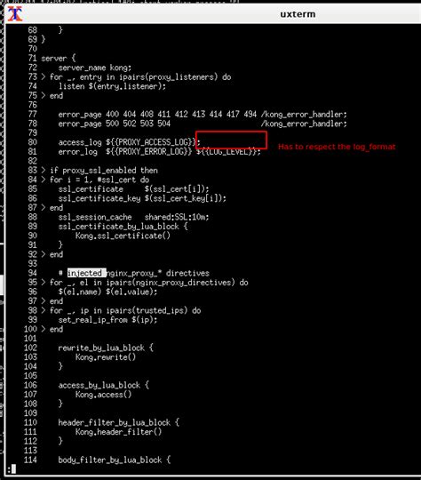Double Access Log Entries When Using KONG NGINX PROXY ACCESS LOG Variable Issue 6915 Kong