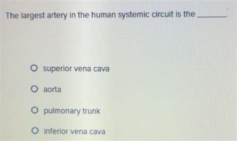 Solved The Largest Artery In The Human Systemic Circuit Is The
