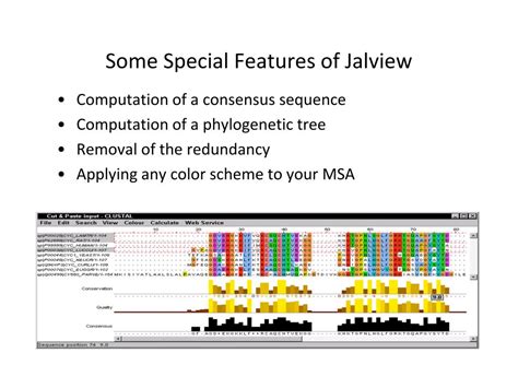 ppt sequence alignment and phylogenetic analysis powerpoint