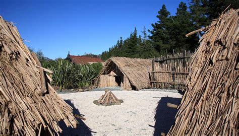 Te Hana Te Ao Marama