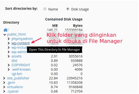 Cara Melihat Kapasitas Hosting Yang Penuh Dengan Mudah DomaiNesia