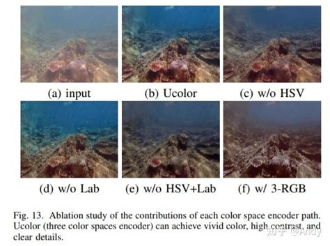 每日五分钟一读 Underwater Image Enhancement 知乎