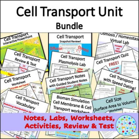 Cell Transport Biology Unit Bundle By The Biology Bar Tpt