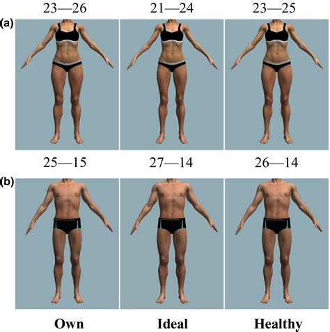 Misperceptions Of Opposite‐sex Preferences For Thinness And Muscularity