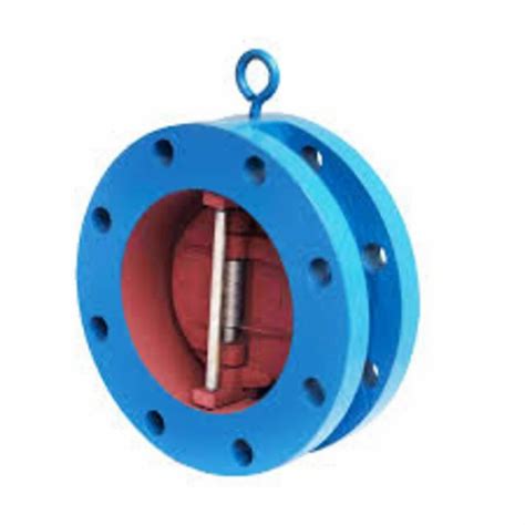 Cast Iron Wafer Check Valve At ₹ 1000piece In Pune Id 2854050407433