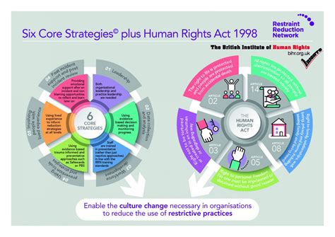 What Is The Restraint Reduction Network At Hunter Porteus Blog