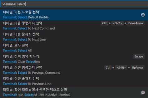 Vscode 오류 용어가 Cmdlet 함수 스크립트 파일 또는 실행할 수 있는 프로그램 이름으로 인식되지 않습니다