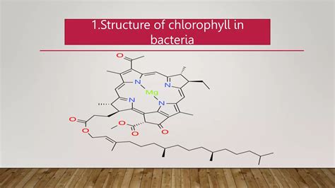 Biosynthesis Of Chlorophyllpptx