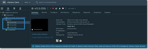 if vcenter is unavailable clustering service vcls in vmware vsphere