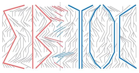 Evolutionary Biology And The Theory Of Computing