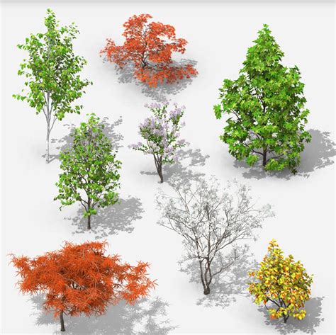 8 Revit Asian Tree Families Pack Scalable Customizable In Detail