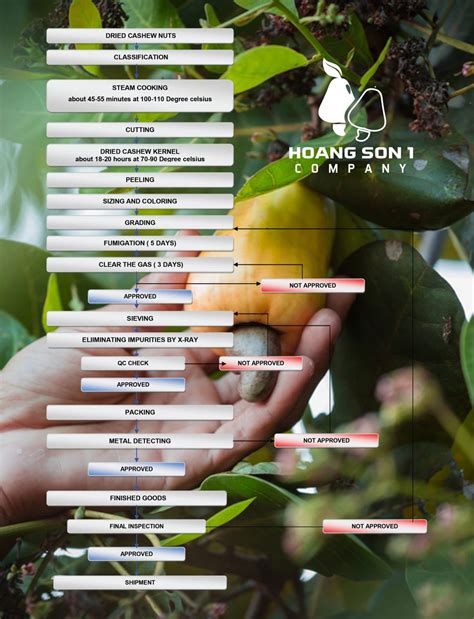 Processing Plan Hoang Son 1 Chất Lượng Công Bằng Trách Nhiệm