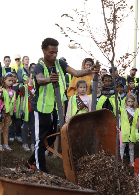 Job Opportunities Trees Upstate