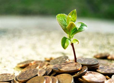 Իրականացնում ենք այգեգործությանն առնչվող ցանկացած ծառայություն