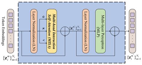 structure of a cross head information interaction transformer ciit