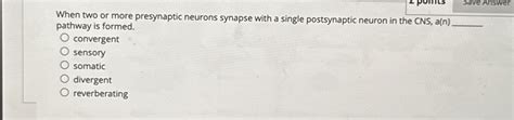 Solved Save Answerwhen Two Or More Presynaptic Neurons