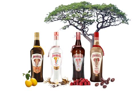 Dom Pedro Real Amarula From South Africa