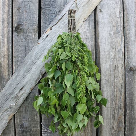 Dried Hand Made Sauna Whisk Sauna Vihta Birch And Juniper