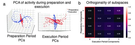 A Visualization Of The The Neural Activity During The Preparatory Download Scientific Diagram