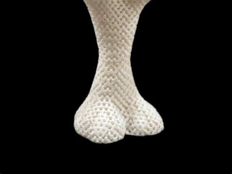 一骨作器团队研发3d打印仿生骨支架 破解大段骨缺损难题 齐鲁理工学院 生物 白磷 骨骼 骨科 新浪新闻