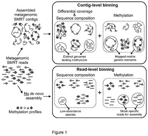 Methods For High Resolution Microbiome Analysis Eureka Patsnap