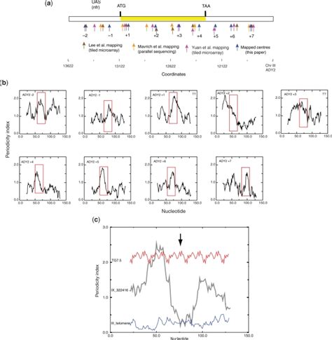 A Comparison Of Nucleosome Positions Mapped By Partial Mnase Download Scientific Diagram