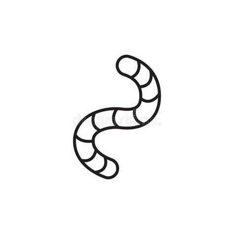 Worm Icon Vector Stock Vector Illustration Of Outline 306986525