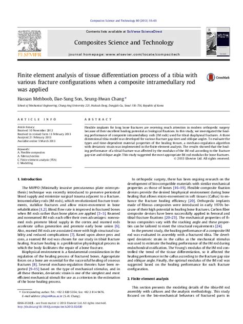Pdf Finite Element Analysis Of Tissue Differentiation Process Of A Tibia With Various Fracture