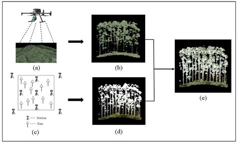 Multifiltering Algorithm For Enhancing The Accuracy Of Individual Tree Parameter Extraction At