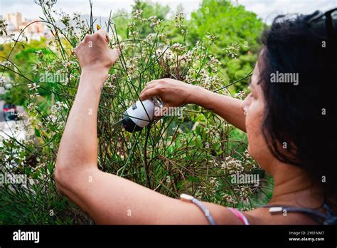 Homemade Pinhole Camera Or Stenopeic Camera Made With A Can And Installed In Nature Diy