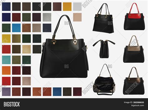 Womens Handbag Image And Photo Free Trial Bigstock