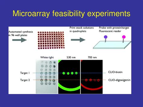Ppt Self Assembly At Nano Scale Binary Nanoparticles Superlattices Powerpoint Presentation