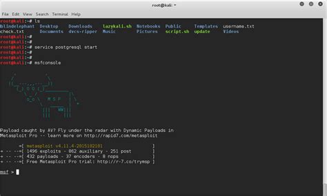 kali linux intrusion and exploitation cookbook packt